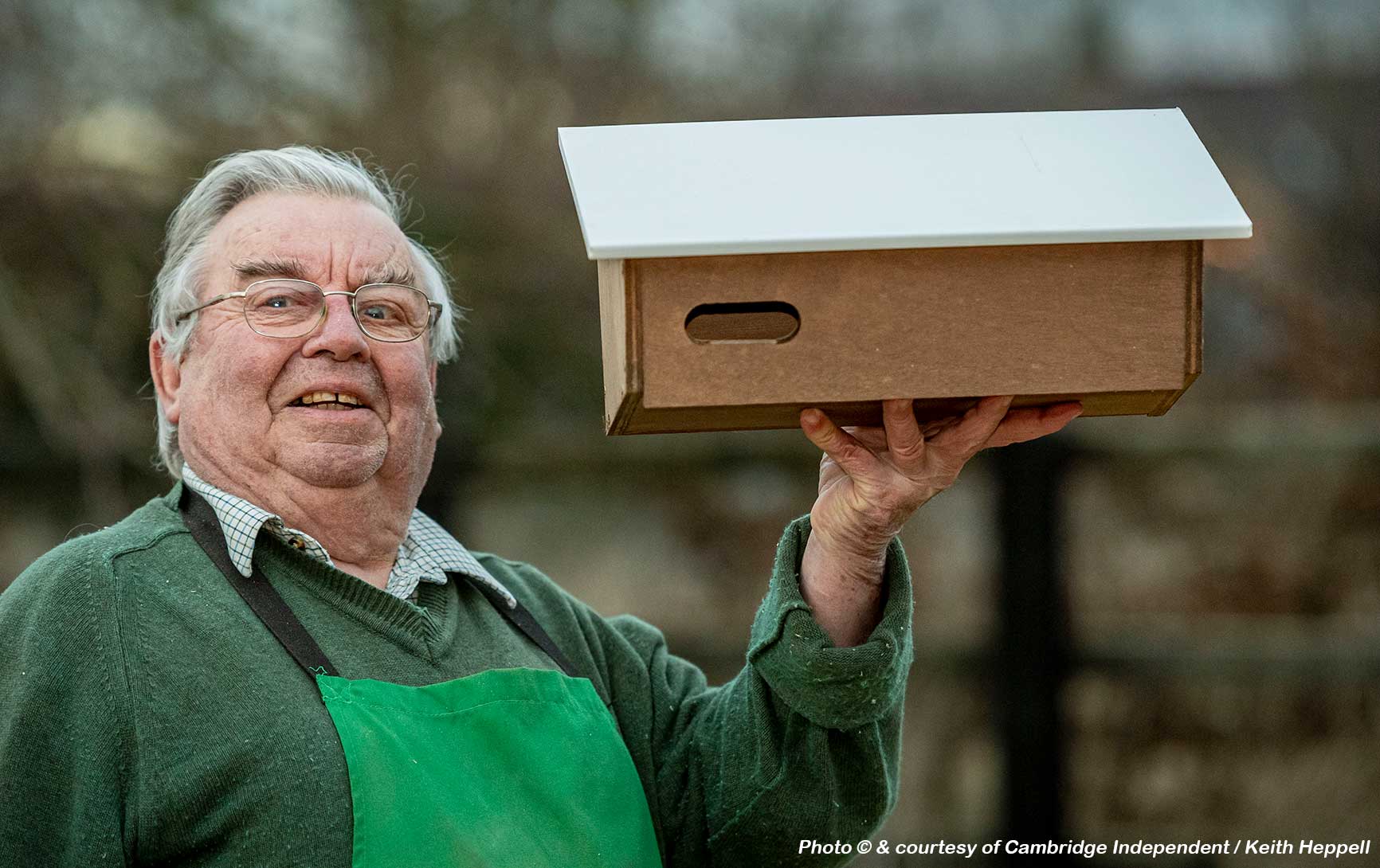 Swifts Over Sherborne - Swift awareness in Sherborne, Dorset
